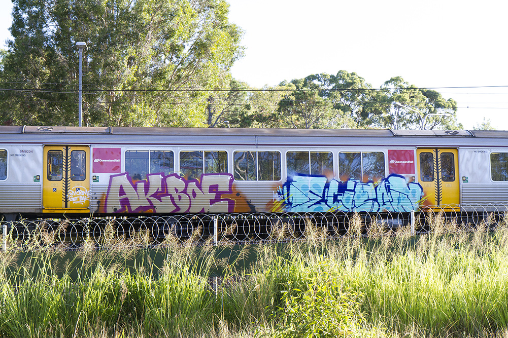 Cekios - Spraydaily.com