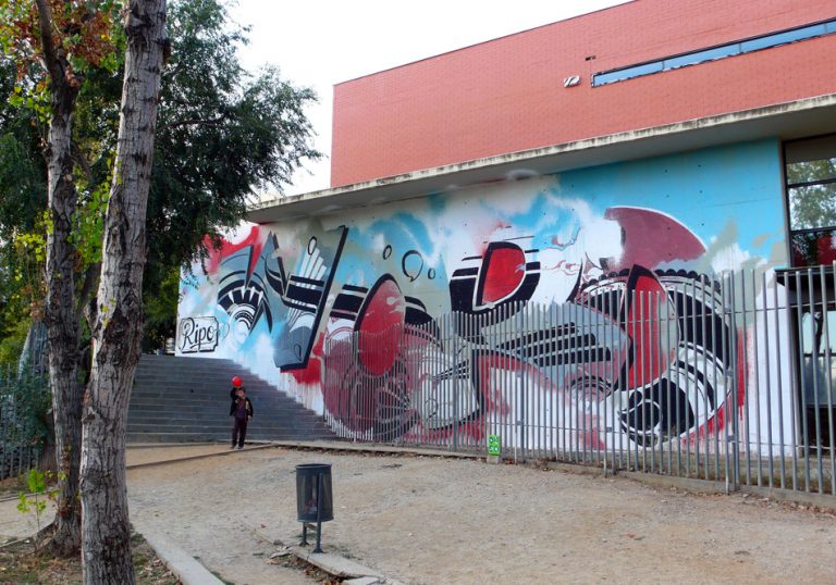 Max Rippon - aka Ripo - Spraydaily.com